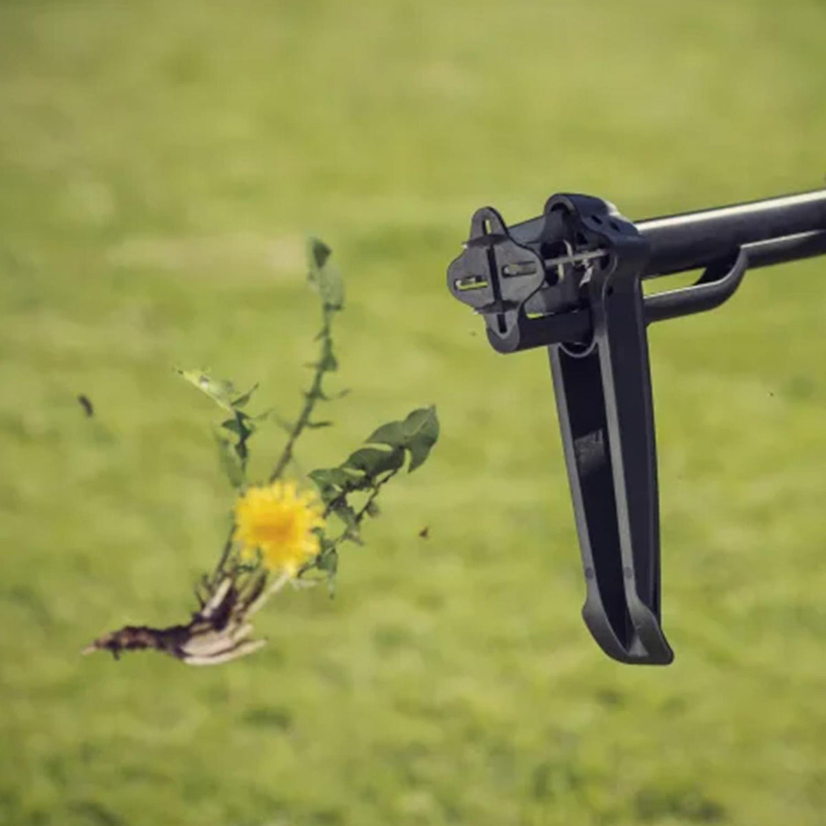 Solid Weed Puller – Avant Garde Brands