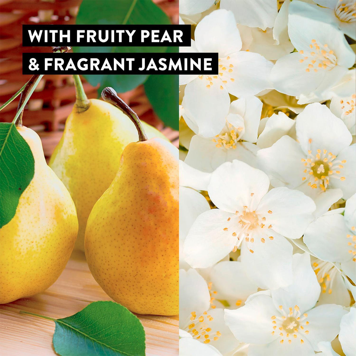 Impulse Body Fragrance Mist Balanced Mind with Pear and Jasmine Scent ...