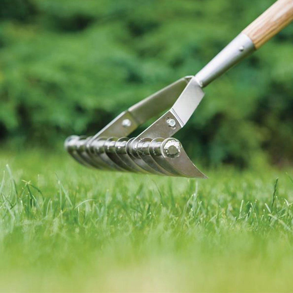 K/S70100902 Stainless Steel Long Handled Scarifying Rake, FSC – Avant ...