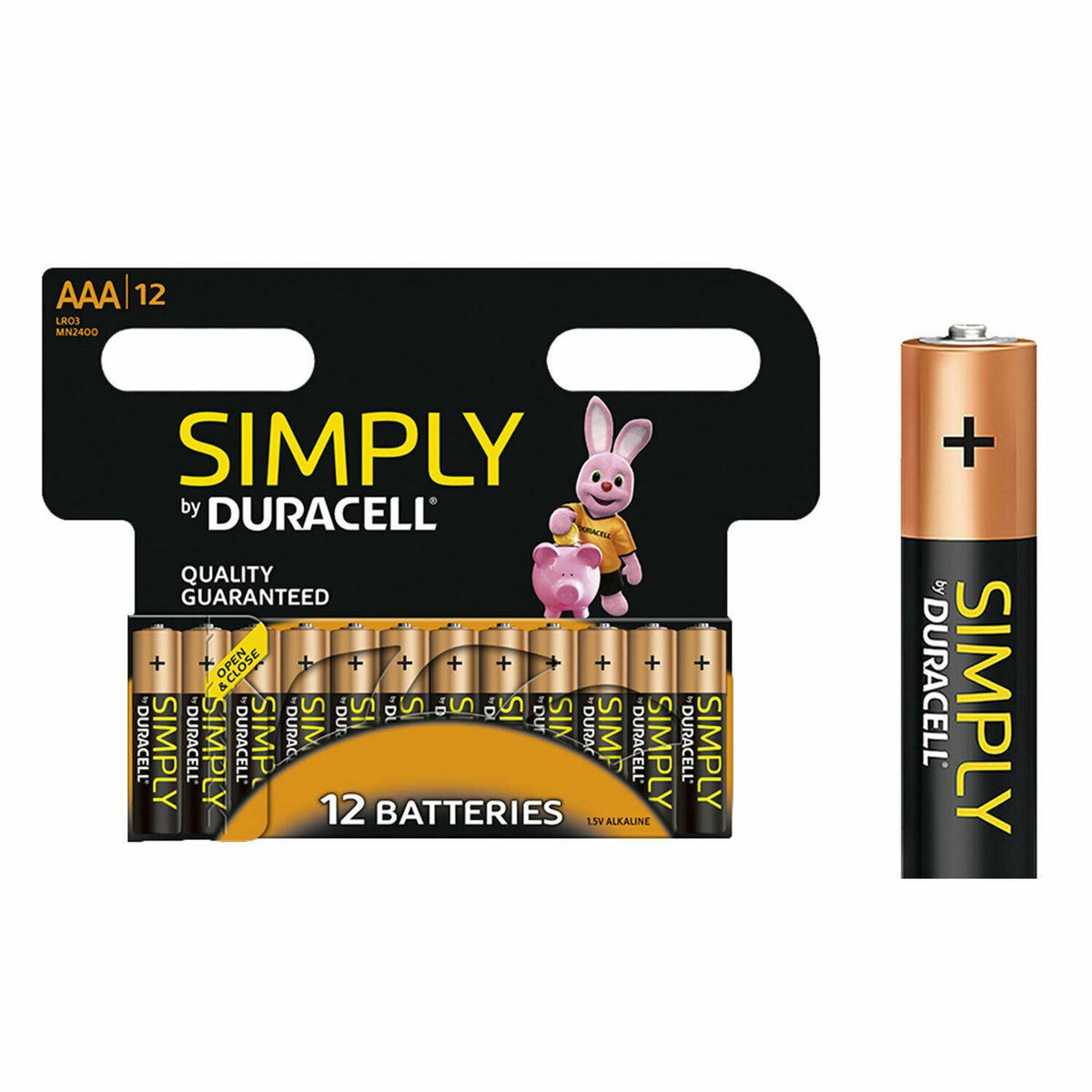 Duracell Simply AAA Non Rechargeable Batteries, 24 Pack – Avant Garde ...