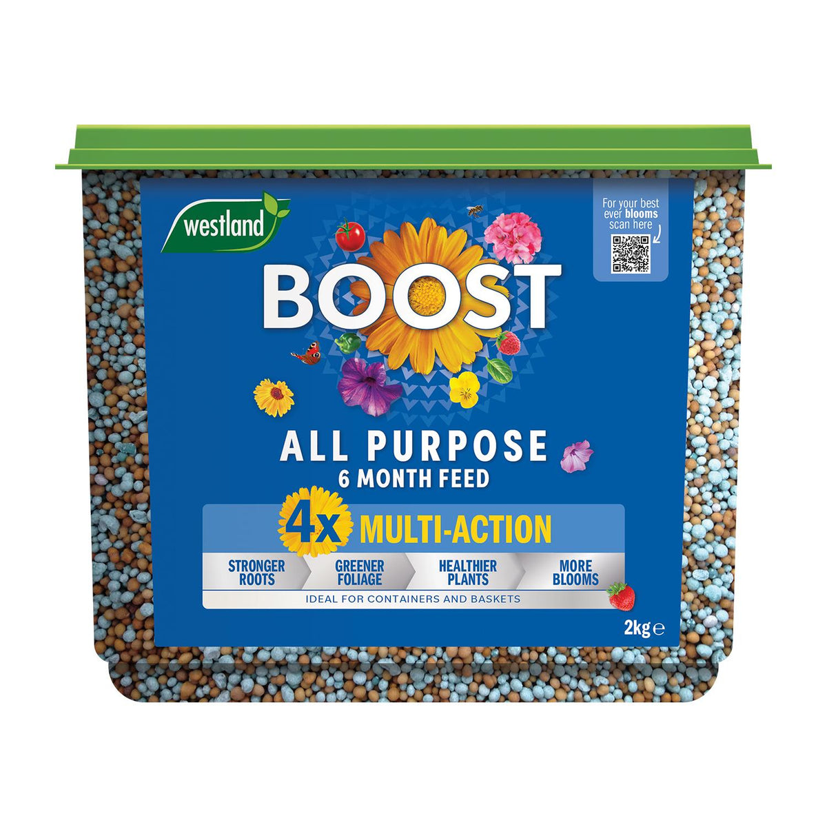 Gro-Sure All-Purpose Slow Release Plant Food Granules for Outdoor Plan ...