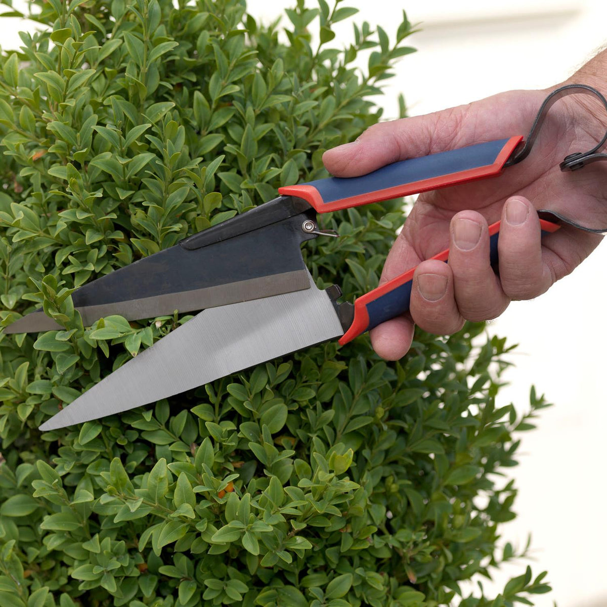 Spear & Jackson Topiary Shears 164mm Blades, Razorsharp Advantage Gard ...