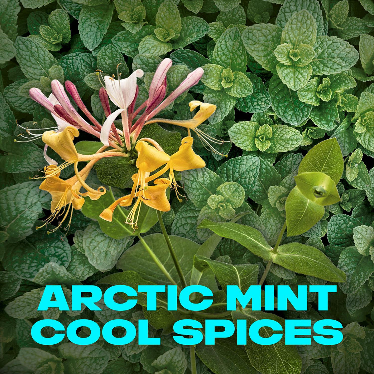 Lynx Recharge Sport Fresh 3pcs Gift Set For Men with Wireless Charging ...