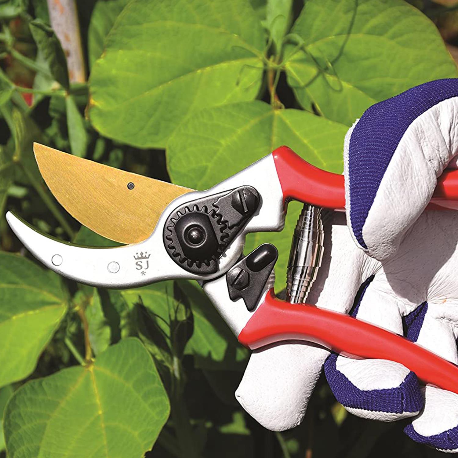 Spear & Jackson Bypass Secateurs, Titanium Heavy Duty Razorsharp Garde ...