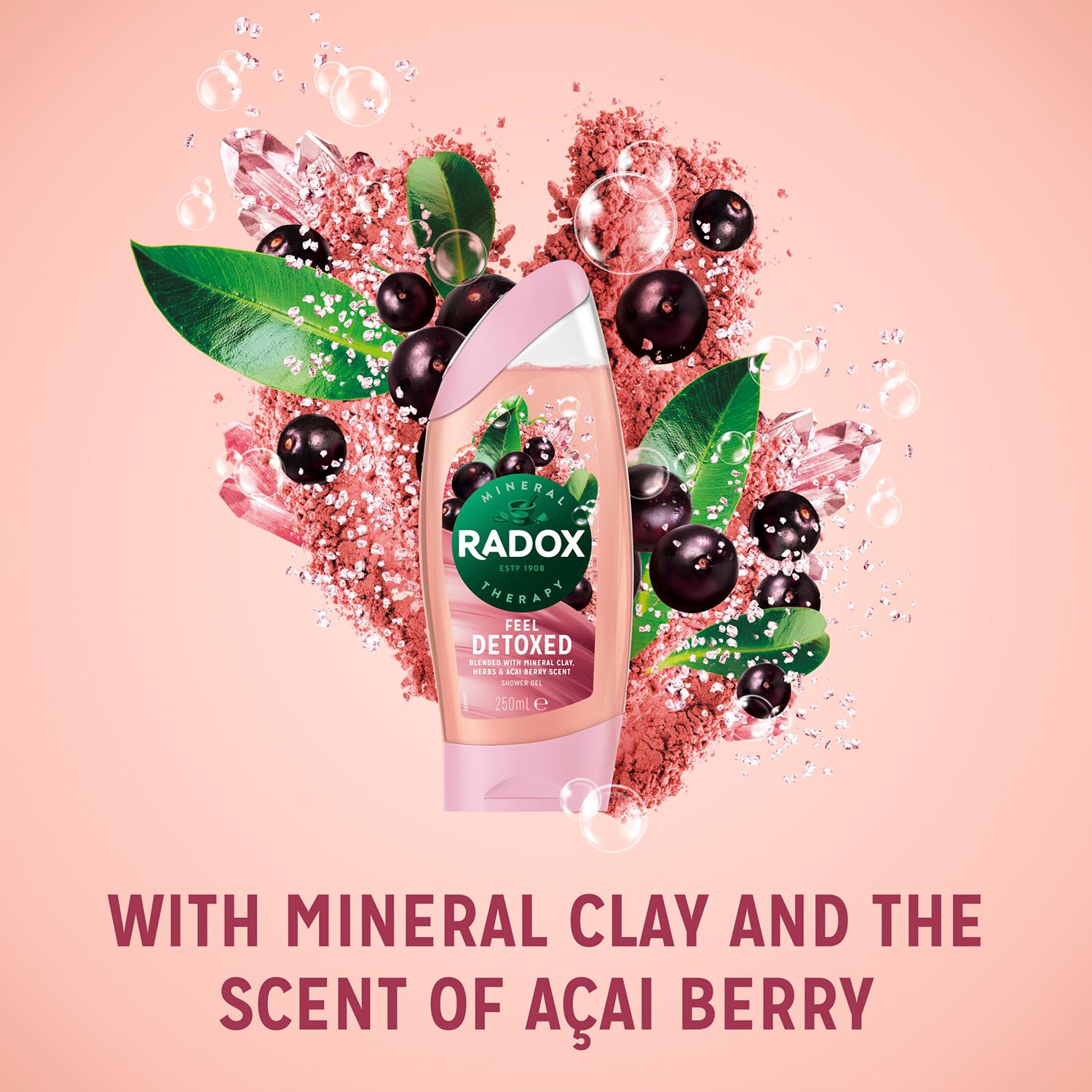 Radox Feel 2-in-1 Shower Gel, Feel Detoxed, 6 Pack, 250ml – Avant Garde ...